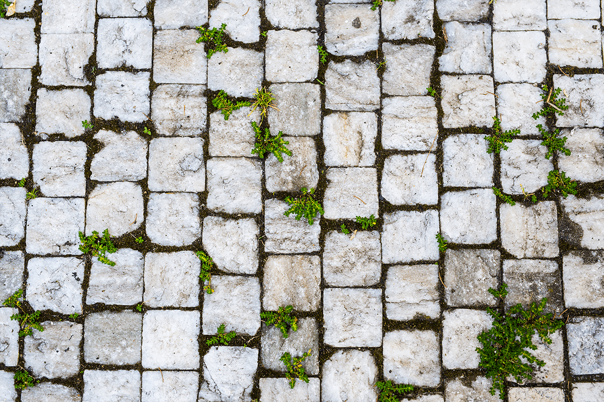 Paver Restoration 101: Protect your Investment - Landmark Pavers Clean ...